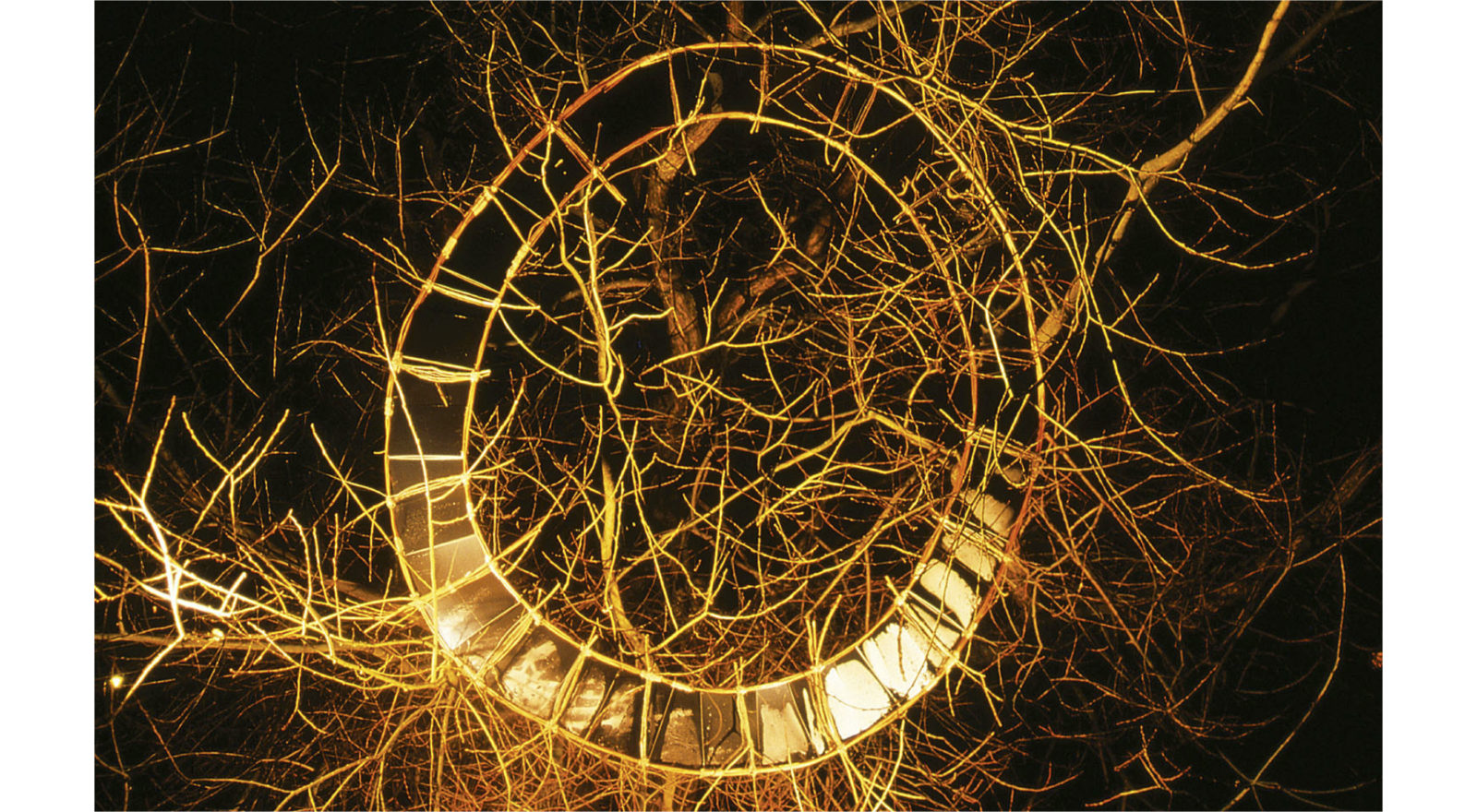 Sue Flowers – Green Close